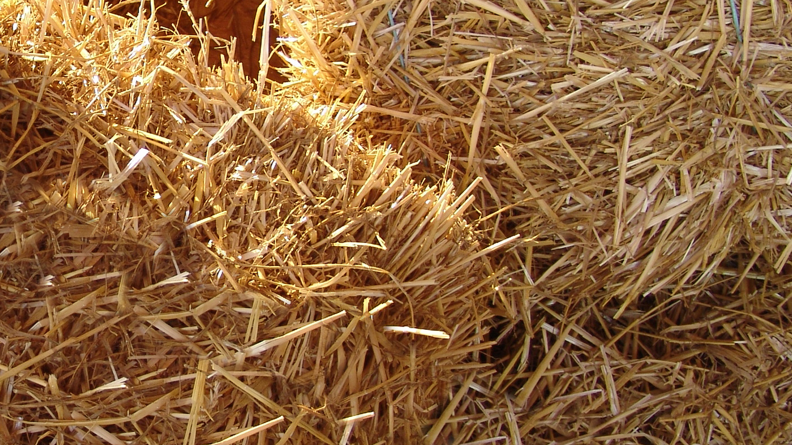 APPEL PAILLE : La Filière Se Structure En Normandie - Habitat Naturel ...